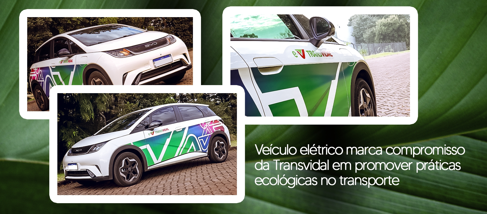 Transvidal Logística e Transporte