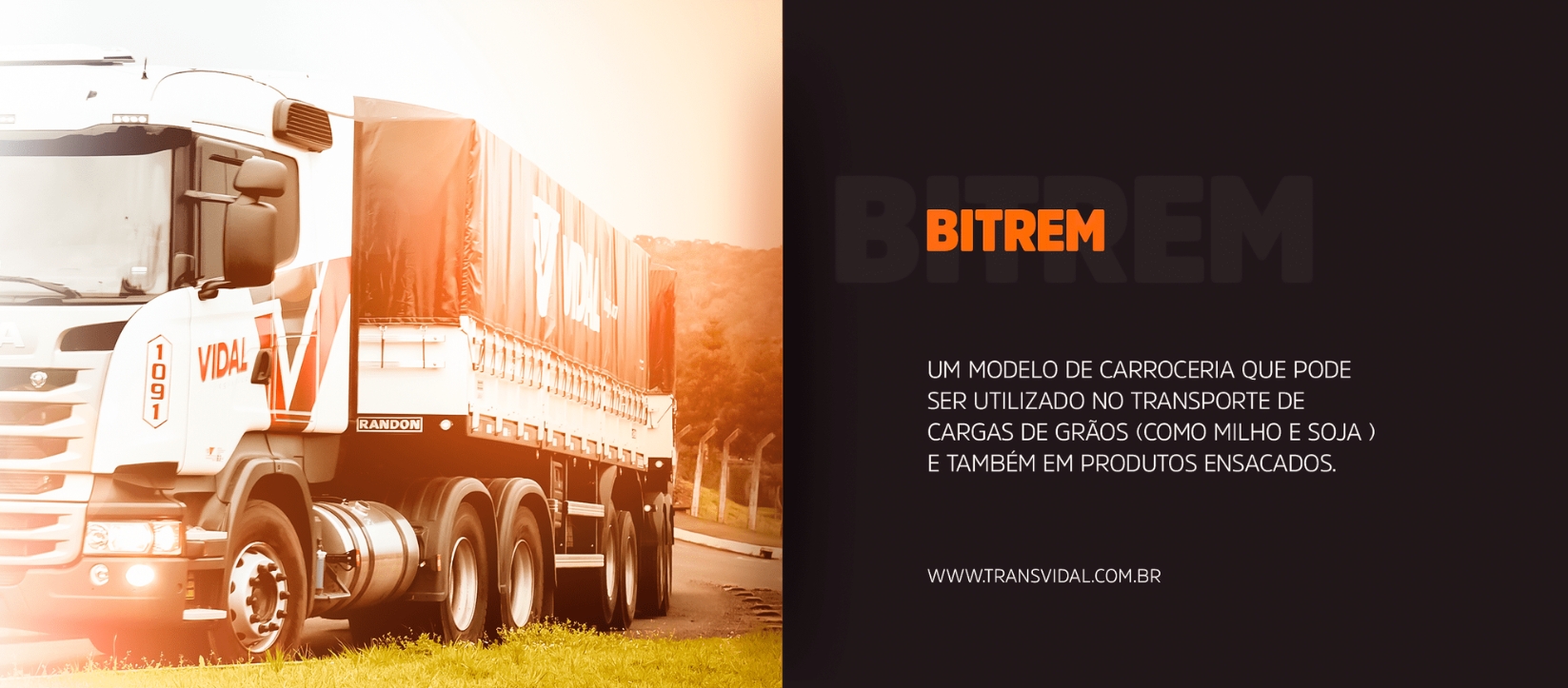 Transvidal Logística e Transporte