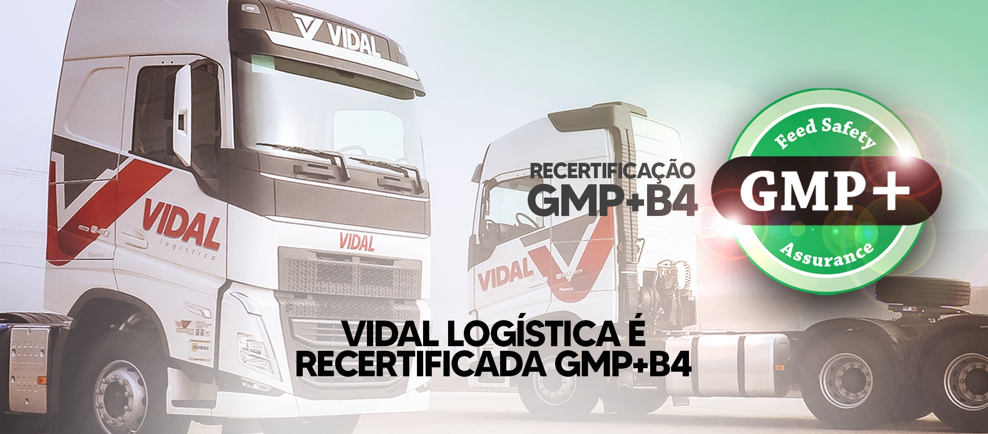 Transvidal Logística e Transporte